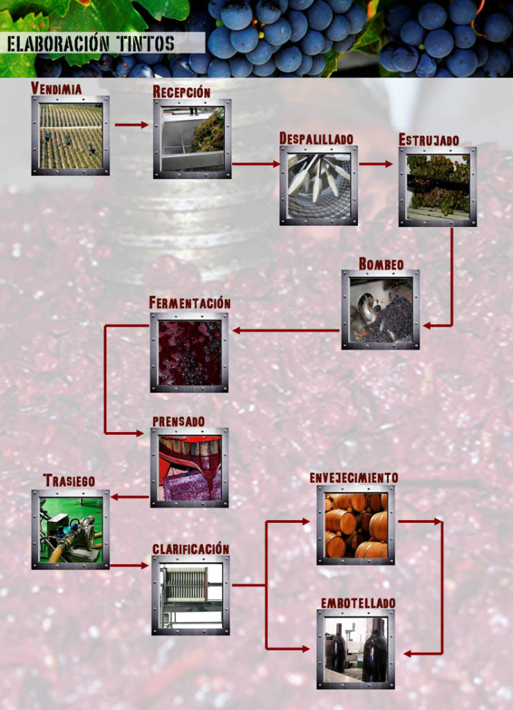 Vino Tinto » inVIA 1912