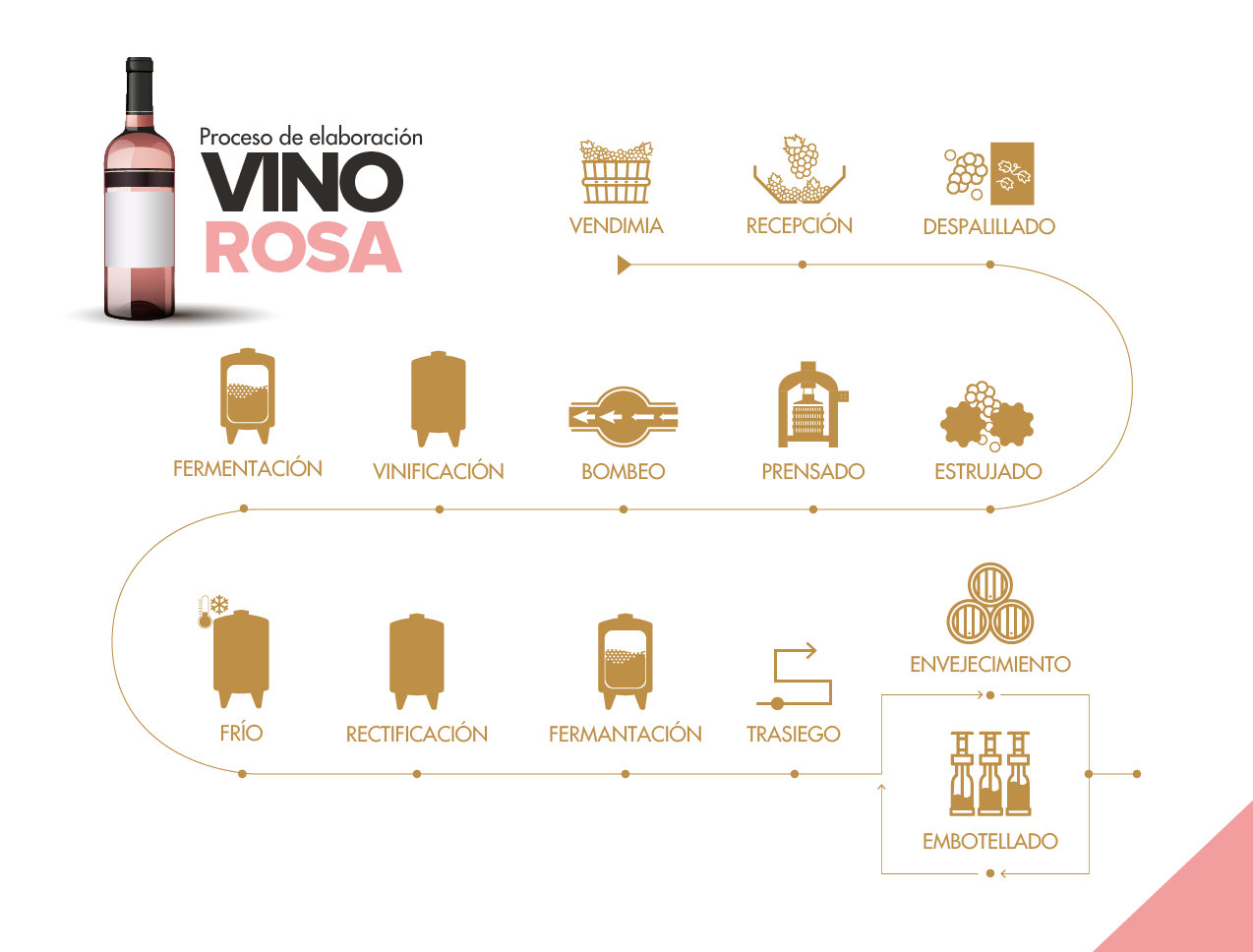 Elaboración Vino Rosa » inVIA 1912